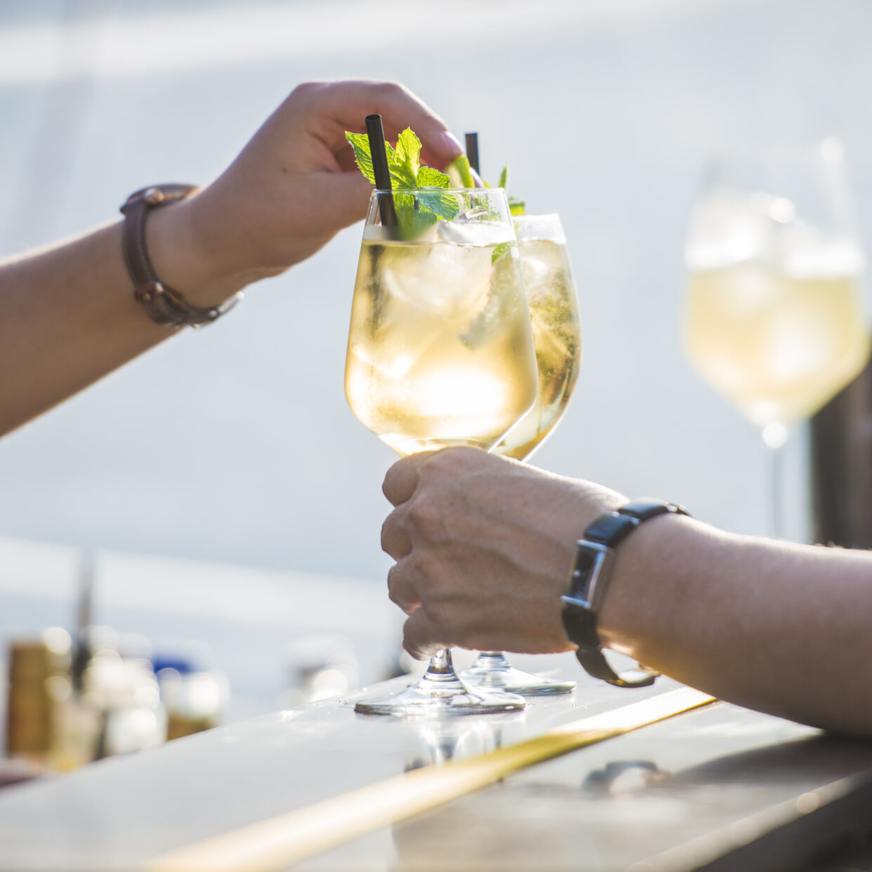 Neuigkeiten und Aktuelles im Weingut Wasem & Kloster Engelthal | Ingelheim