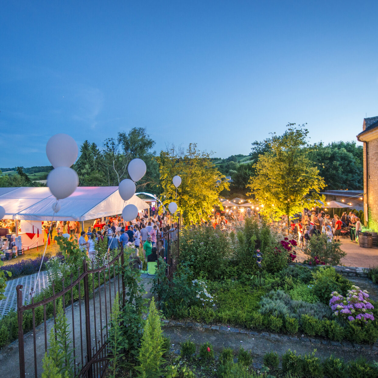 Neuigkeiten und Aktuelles im Weingut Wasem & Kloster Engelthal | Ingelheim
