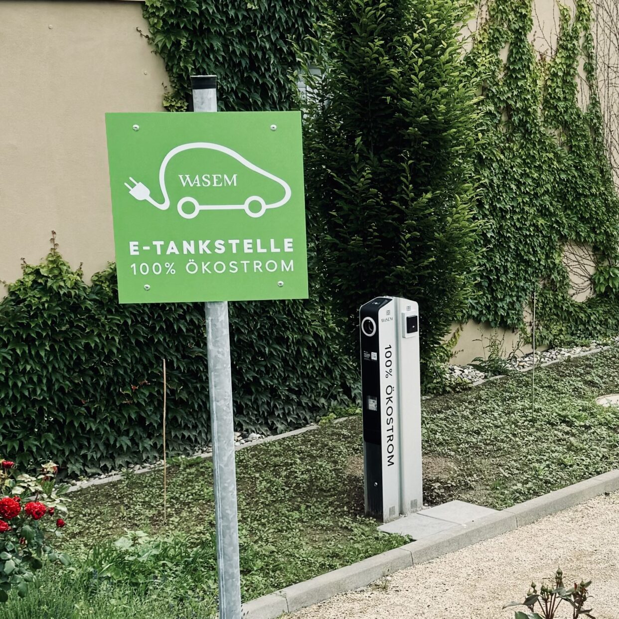 Neuigkeiten und Aktuelles im Weingut Wasem & Kloster Engelthal | Ingelheim