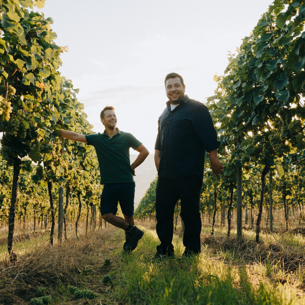 Weingut Wasem Ingelheim » Traditionelle Guts-, Orts- & Lagenweine