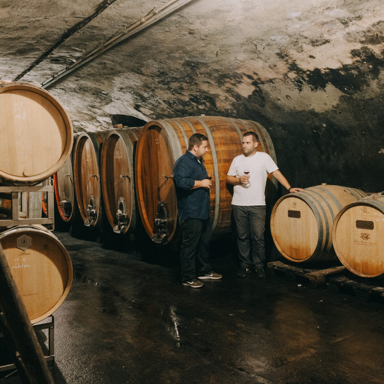 Neuigkeiten und Aktuelles im Weingut Wasem & Kloster Engelthal | Ingelheim