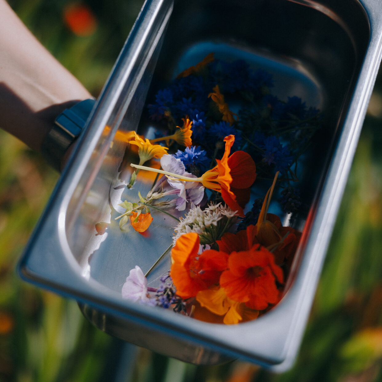 Neuigkeiten und Aktuelles im Weingut Wasem & Kloster Engelthal | Ingelheim